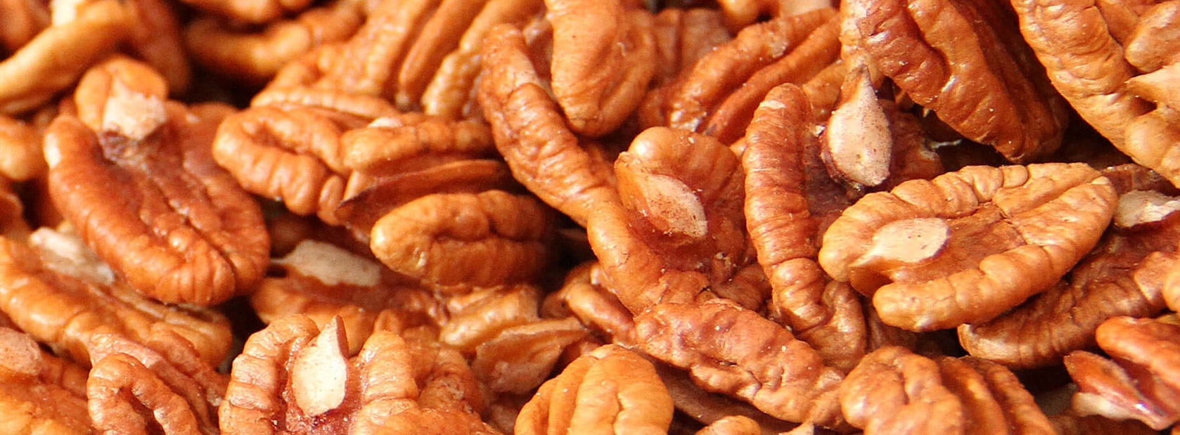 Cluster del Pecán | El Pecán